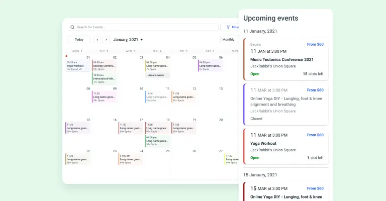 Amelia Booking Plugin Features: Elevate Your Booking Process