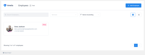 Quickstart Guide - Amelia WordPress Booking Plugin