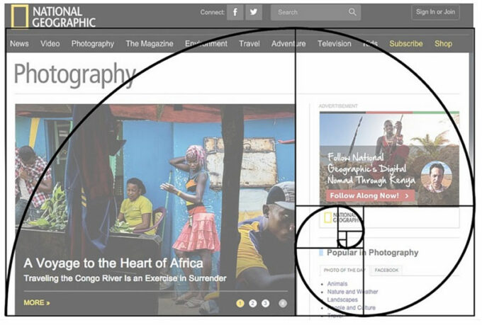 Golden Ratio in Design: What You Need to Know About It