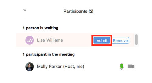 How to Set Up a Zoom Waiting Room For More Secure Sessions