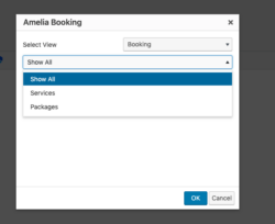 Creating Packages in Amelia WordPress Booking plugin