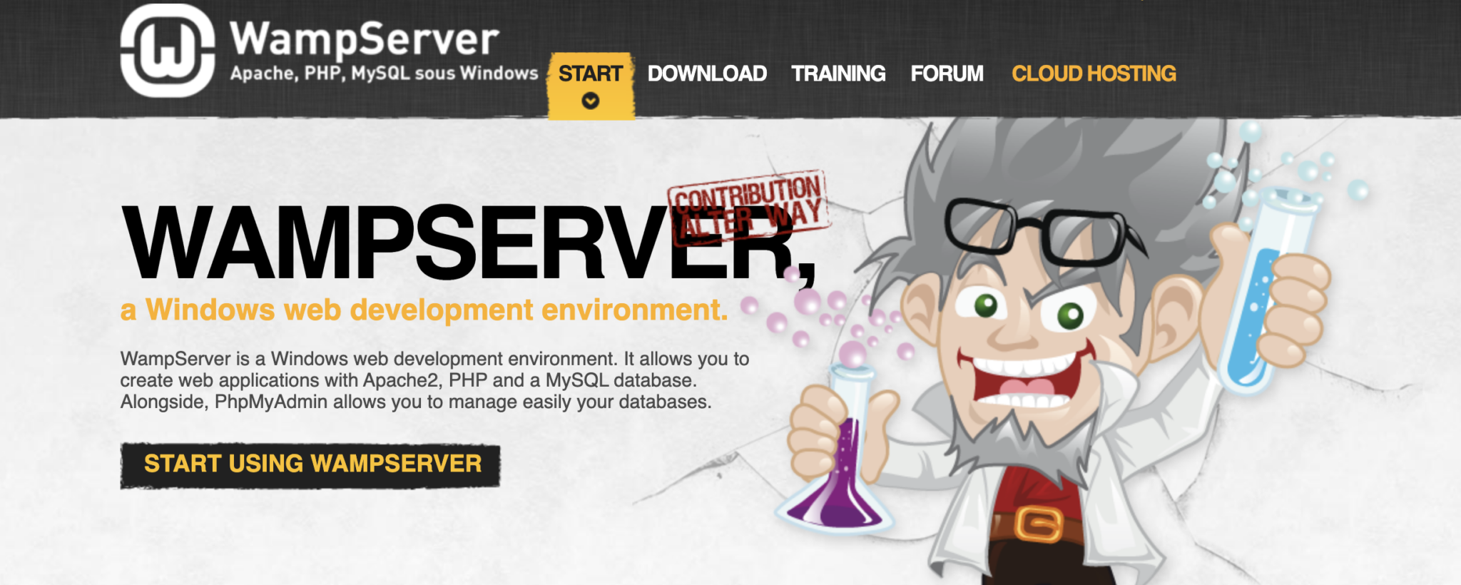The Best Local WordPress Development Environments in 2025